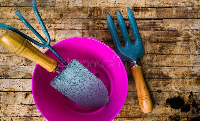 Gardening Tools on a Table Top View Stock Image - Image of bucket ...