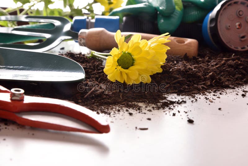 Gardening Tools for Trees and Plants on White Table Macro Stock Image ...