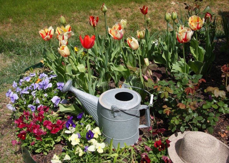 Gardening stock photo. Image of garden, horticulture - 30456096