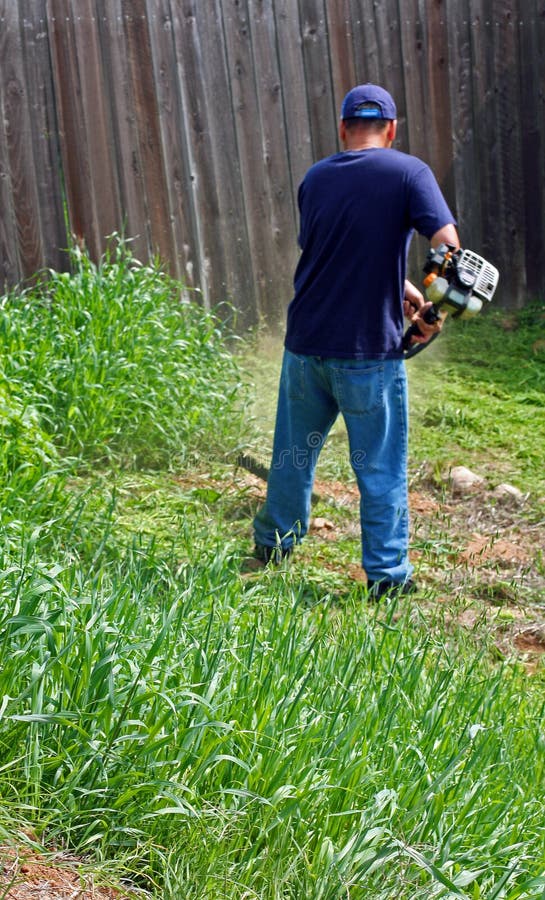 Gardening and Weed Whacking Stock Image - Image of undesirable, weeds ...