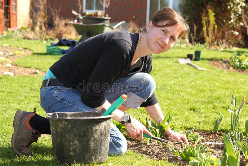 Couple Planting Plant in Garden Stock Image - Image of hobby, people ...