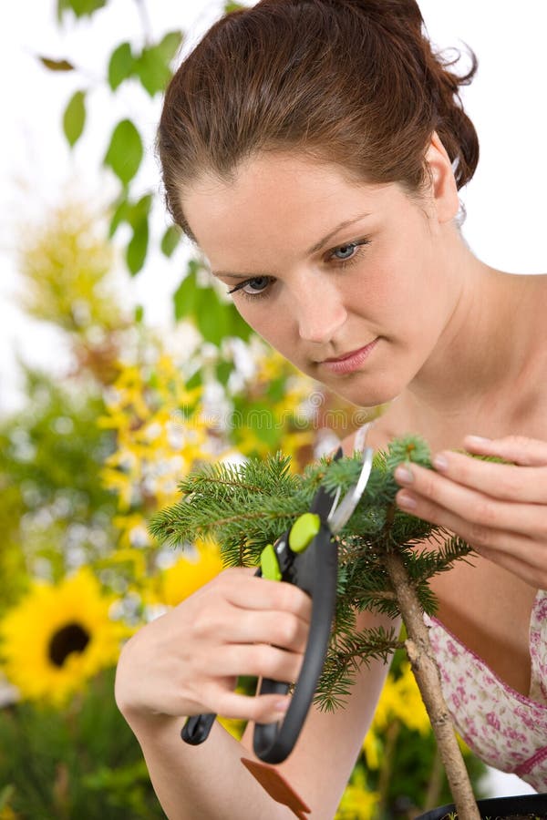 Gardening - Woman Cutting Tree with Pruning Shears Stock Image - Image ...