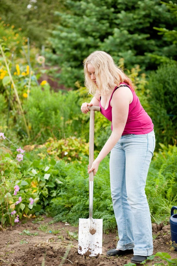 Gardening - Man Digging Over the Soil Stock Photo - Image of field ...
