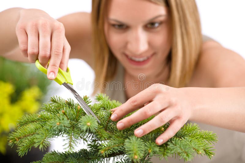 Gardening - Woman Trimming Spruce Tree Stock Image - Image of woman ...