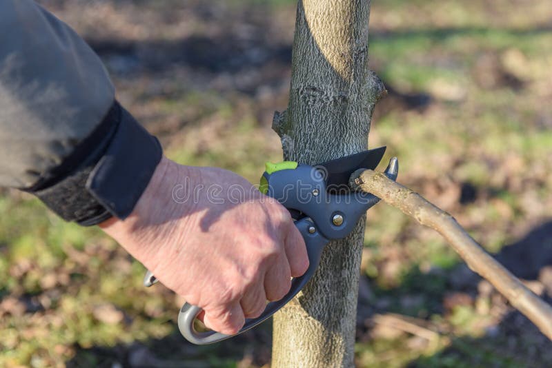 Gardening Work in Spring Time Stock Image - Image of garden, spring ...
