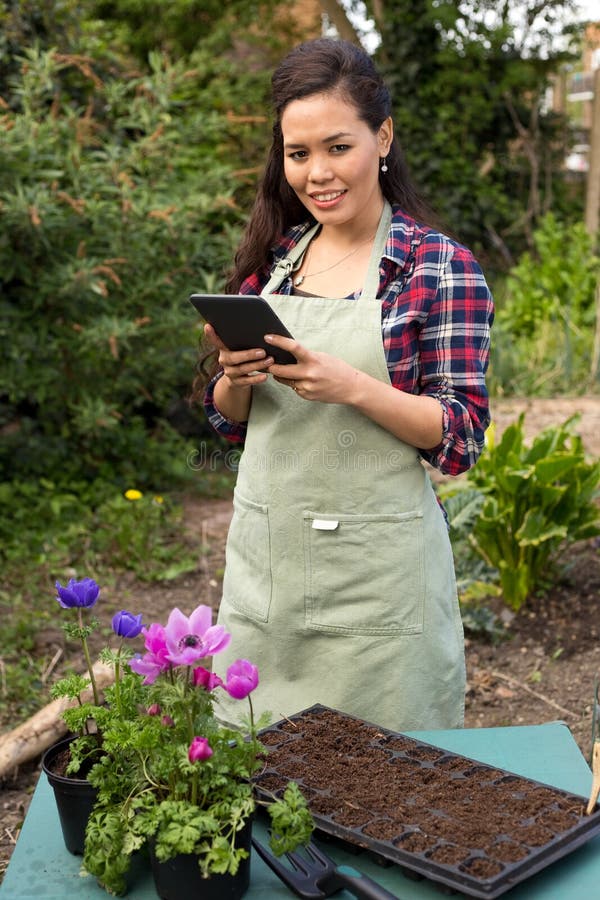 Gardening stock image. Image of gardener, container, grower - 54417271