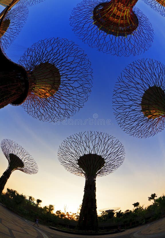 Gardens by the bay editorial photography. Image of singapore - 25815077