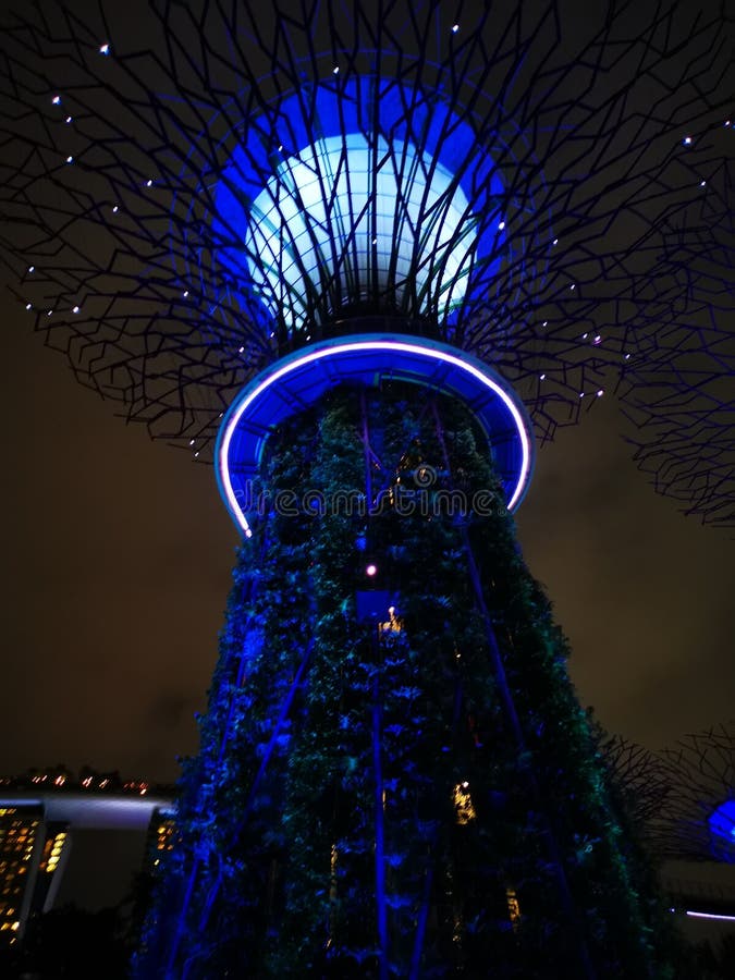 Gardens by the Bay Blue Night Light Angle Shot Stock Image - Image of ...