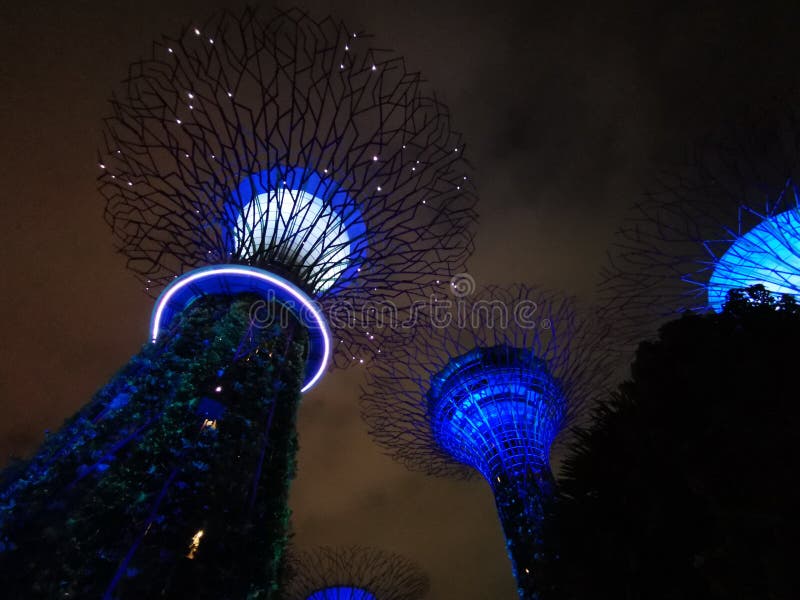 Gardens by the Bay Blue Night Light Sky View Stock Image - Image of ...