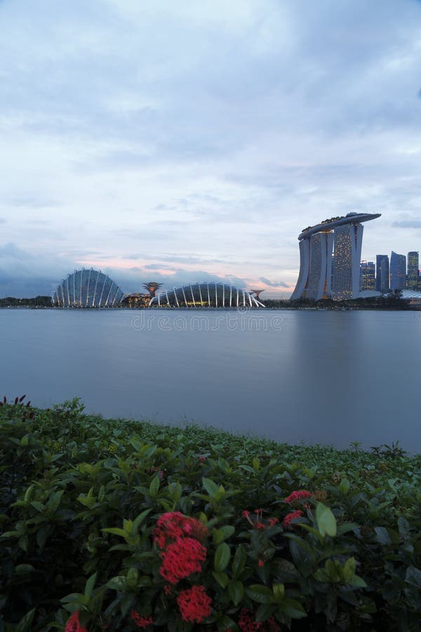 Gardens by the Bay & MBS with Bush Flower Stock Photo - Image of ...