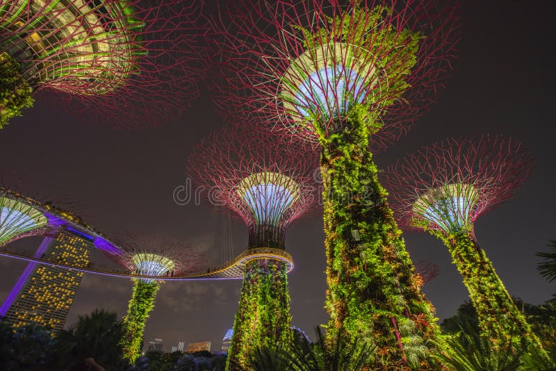 Gardens by the Bay at Night Stock Photo - Image of green, tree: 183244548