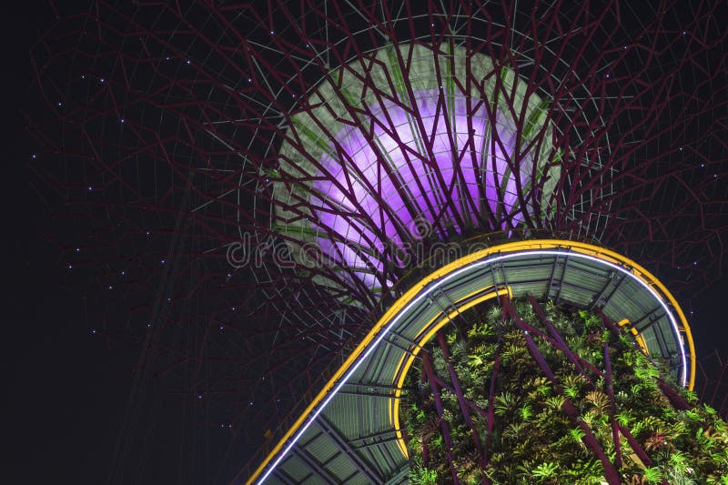 The Gardens by the Bay at Night, Singapore, Asia Editorial Photography ...