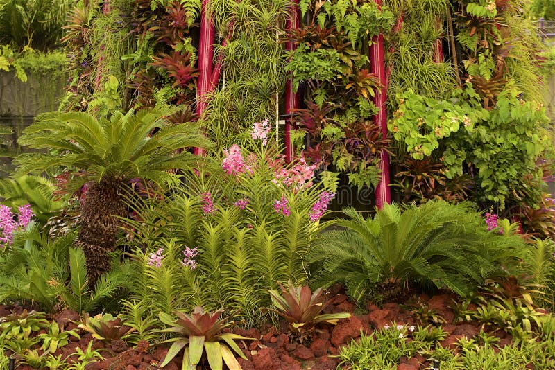 Cloud Forest Dome - Botanic Gardens in Singapore Stock Photo - Image of ...
