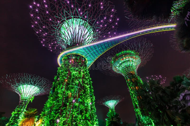 Gardens by the Bay with the Supertrees at Twilight in Singapore Stock ...