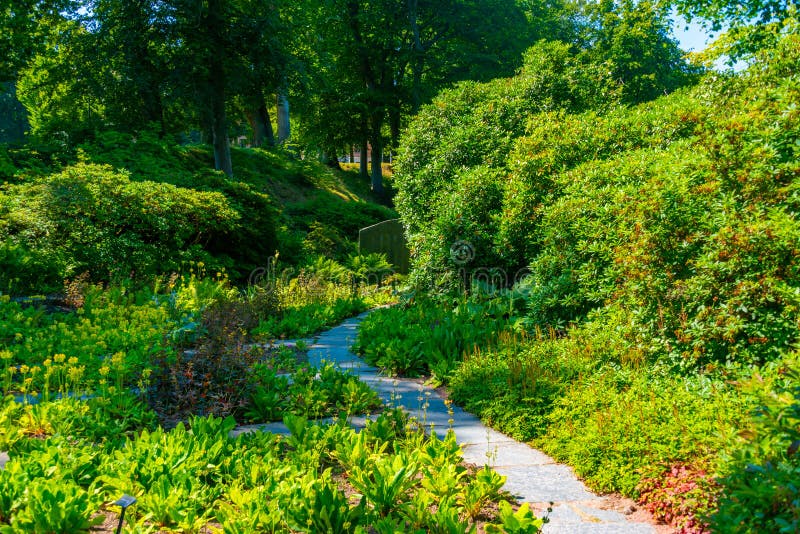 Gardens at Sofiero Palace in Sweden Stock Image - Image of flowerbed, environment: 274363049