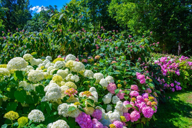 Gardens at Solliden Palace in Sweden Stock Image - Image of garden ...
