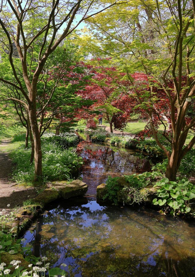 Gardens - Stream in a Landscape Garden Stock Photo - Image of nature ...