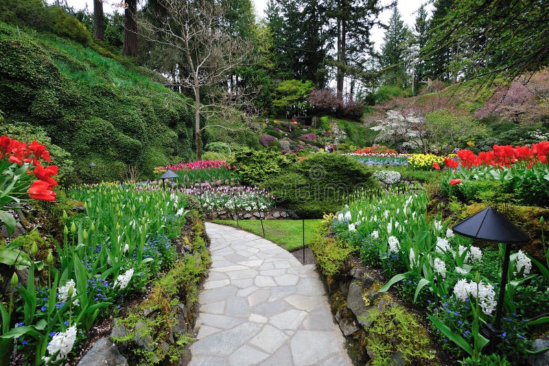 Gardens trail stock image. Image of flower, neat, florid - 13981543