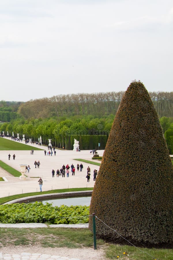 Gardens of Versailles with a Topiary Tree in the Foreground Stock Image ...