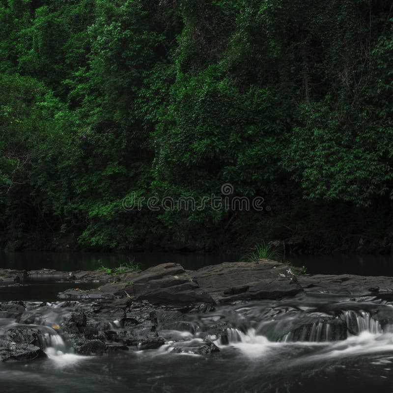 Gardners Falls in Maleny, Sunshine Coast Stock Image - Image of ...