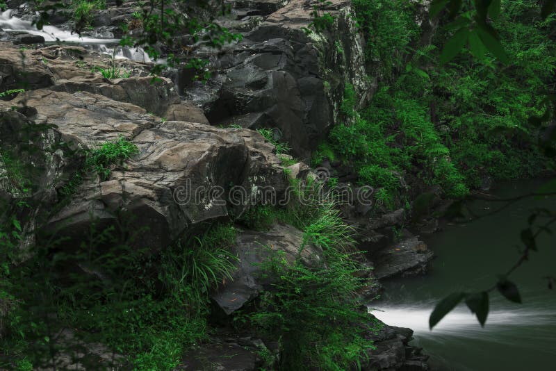Gardners Falls in Maleny, Sunshine Coast Stock Image - Image of fresh ...