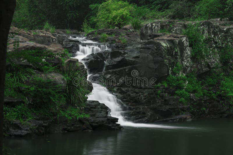 Gardners Falls in Maleny, Sunshine Coast Stock Image - Image of green ...