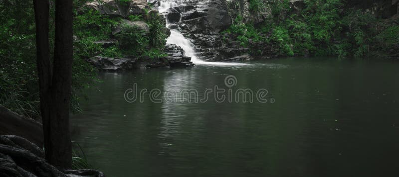 Gardners Falls in Maleny, Sunshine Coast Stock Photo - Image of coast ...