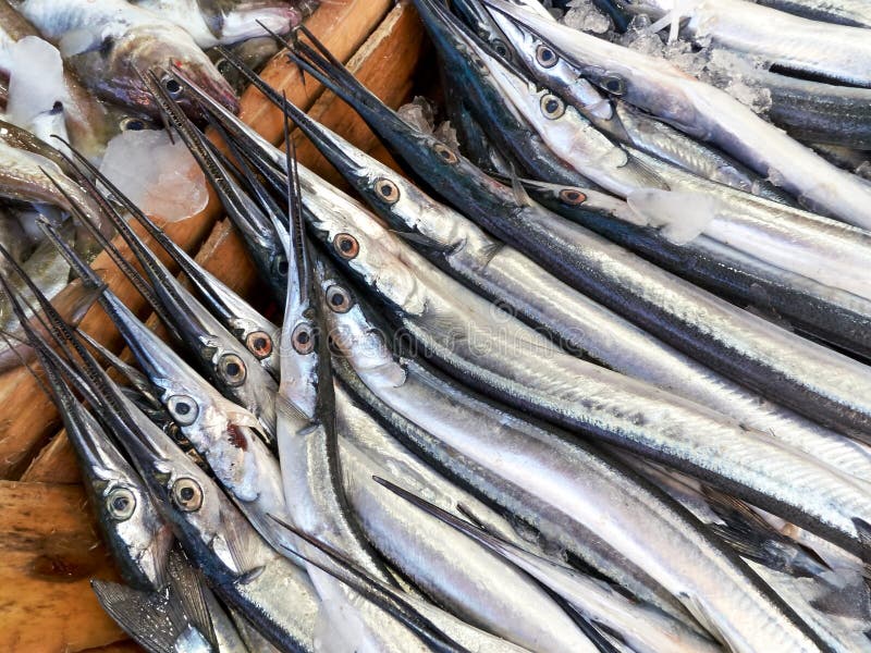 Garfish stock photo. Image of fish, product, food, silver - 82702330
