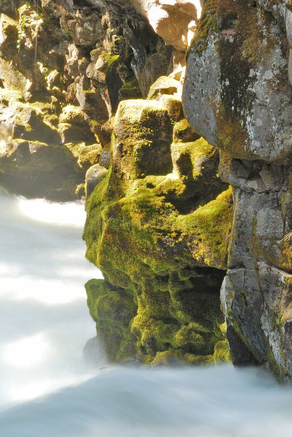 Garganta del granuja imagen de archivo. Imagen de orilla - 29391947