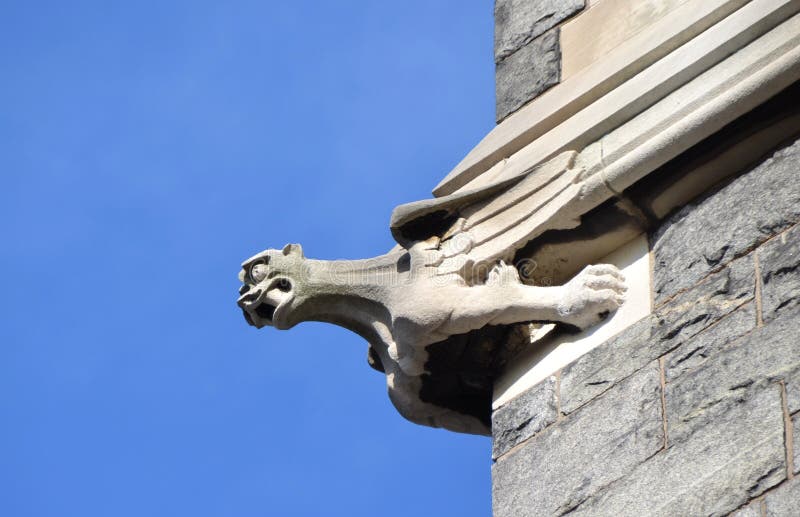 Gargoyle stock photo. Image of church, fantasy, gutter - 101786796