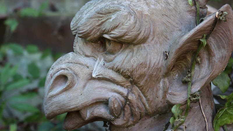 Gargoyle stock photo. Image of gargoyle, plant, statue - 77305912