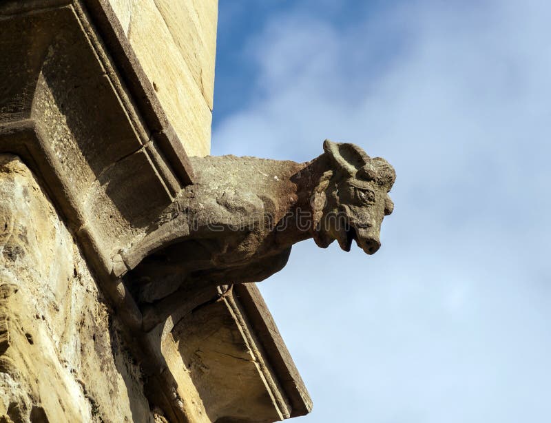 Gargoyle Wolf stock image. Image of wolf, gislebert, cathedral - 36239789