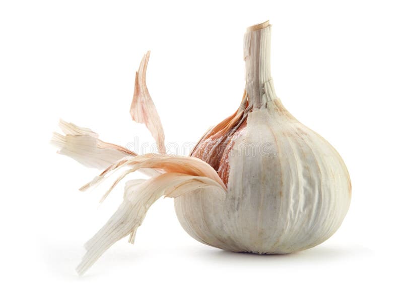 150 Garic Photos - Free & Royalty-Free Stock Photos from Dreamstime