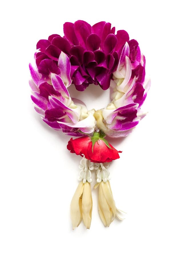 Garland stock image. Image of pink, single, white, fresh - 45426073