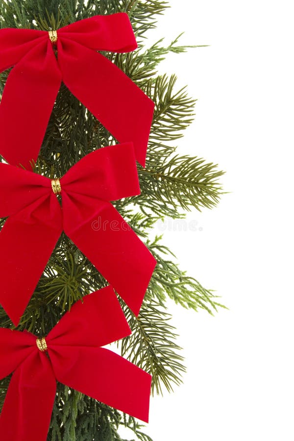 Garland Frame stock image. Image of christmas, green, cold - 3689177