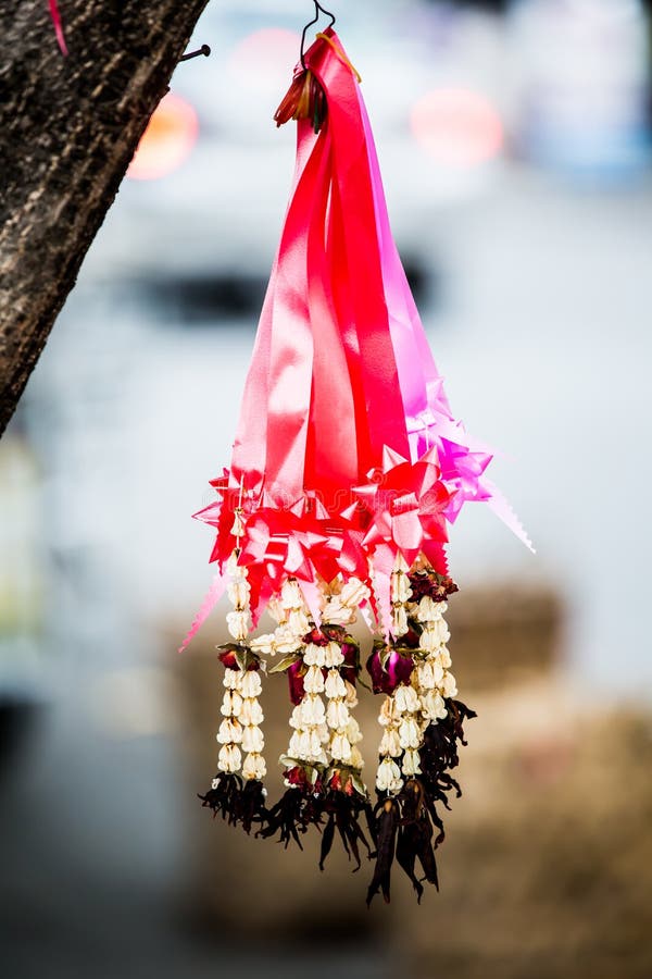 Garland hang on tree stock photo. Image of celebration - 73895868