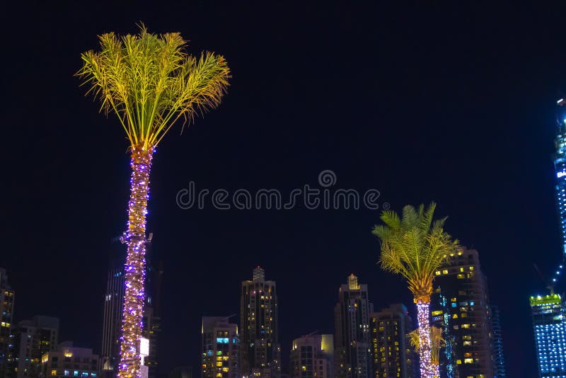 Garlands on a palm tree stock photo. Image of outdoor - 153612178