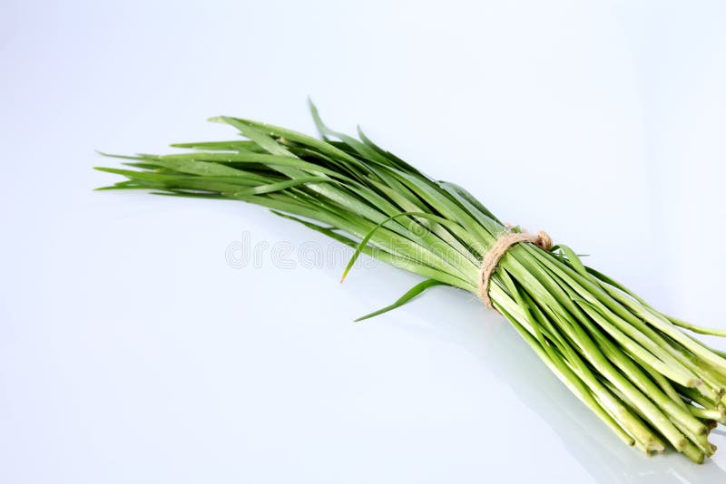 Garli Chives Stock Photos - Free & Royalty-Free Stock Photos from ...
