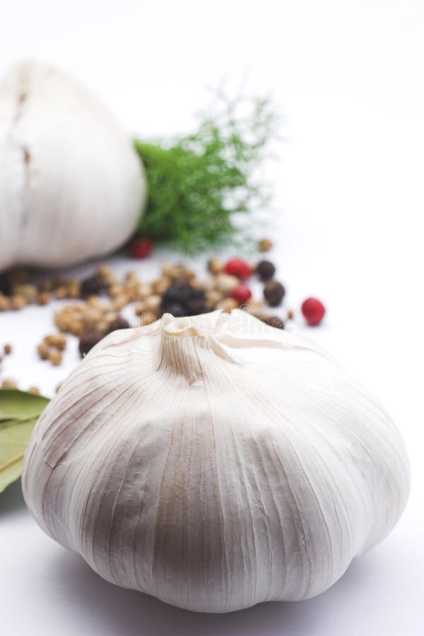 Garlic stock photo. Image of vegetable, ingredients, spices - 102046