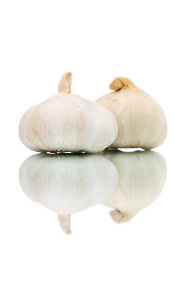 Garlic stock photo. Image of spice, healthy, nutritious - 10523582
