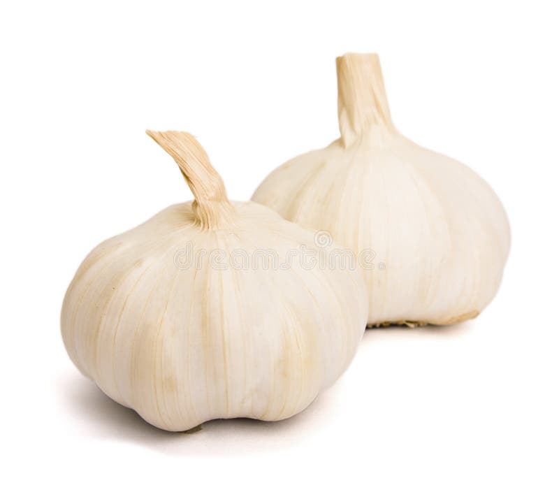 Garlic stock image. Image of bulb, healthy, ingredient - 10977789