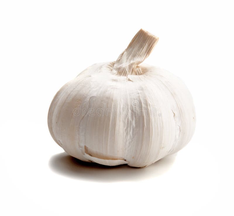 Garlic stock image. Image of dinner, cooking, herb, fresh - 17322293