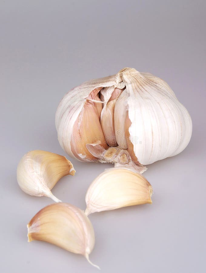 Garlic stock photo. Image of vegetable, garlics, onion - 12150280