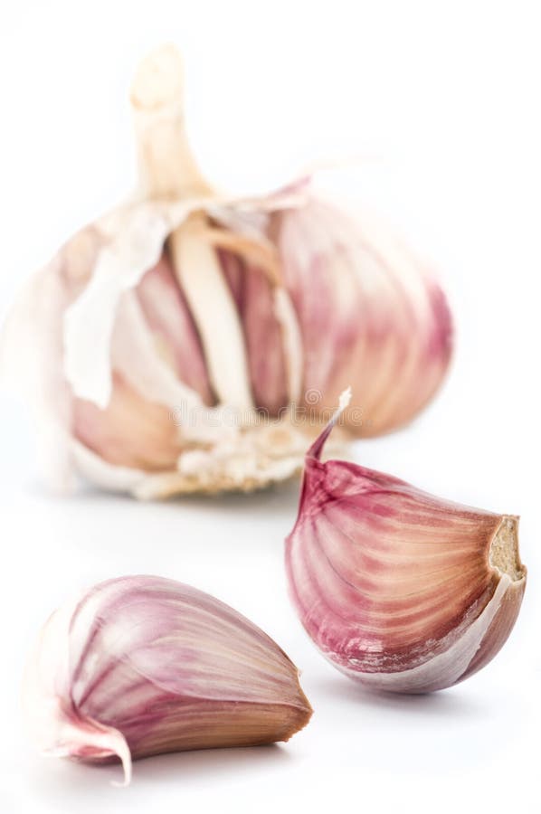 Garlic stock photo. Image of cooking, garlic, spice, flavour - 199274