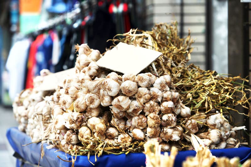 Garlic string stock image. Image of healthy, drinks, vegetarian - 15677725