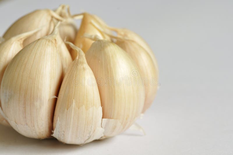 Garlic stock photo. Image of kitchen, pimento, garlic - 15890240