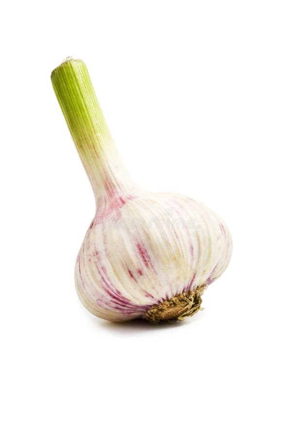 Garlic stock image. Image of color, green, cuisine, indoors - 16983027
