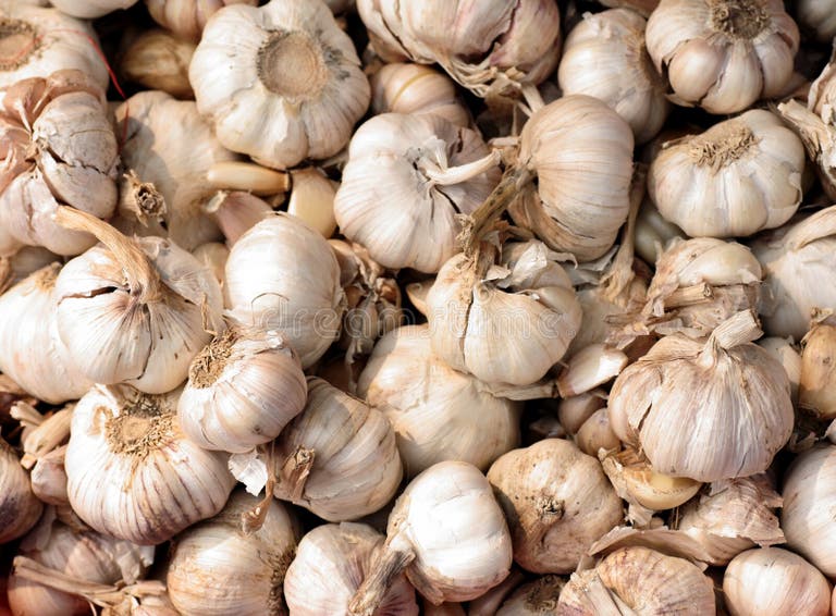 16,917 Organic Garlic Texture Background Stock Photos - Free & Royalty ...