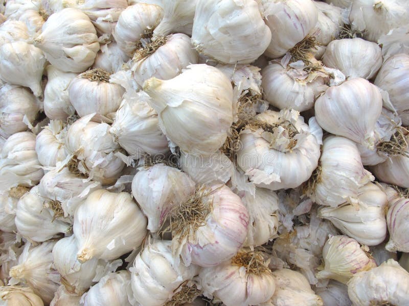 Thai garlic stock photo. Image of kitchen, garlic, recipe - 53329252