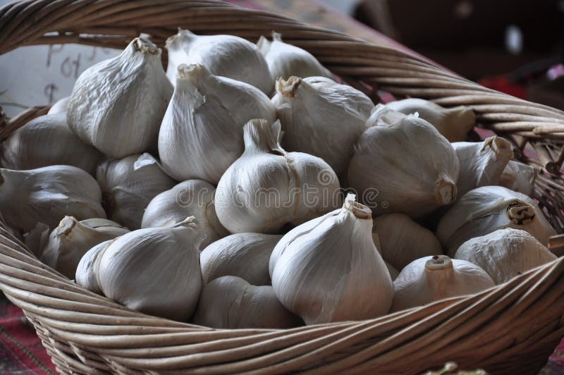 Garlic stock image. Image of bazaar, garlic, fruit, health - 20305723